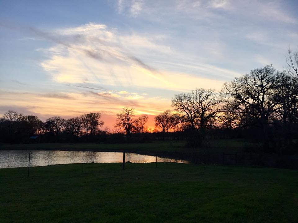 Spring Break and Sunsets – Green Acres Adventure